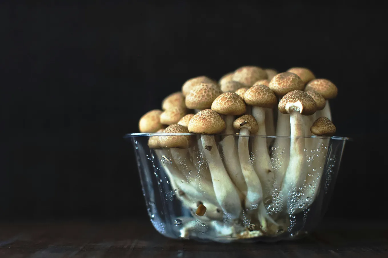 A Brief History of Psilocybin. From sacred mushroom to modern medicine ...