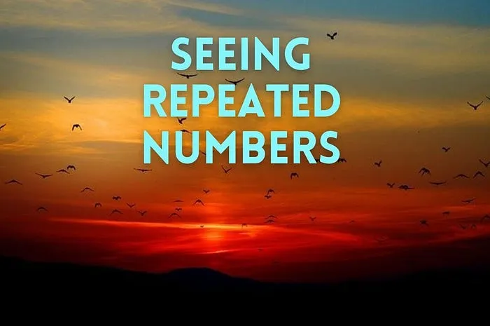 Number 26 In Numerology — What Does It Mean? | Medium