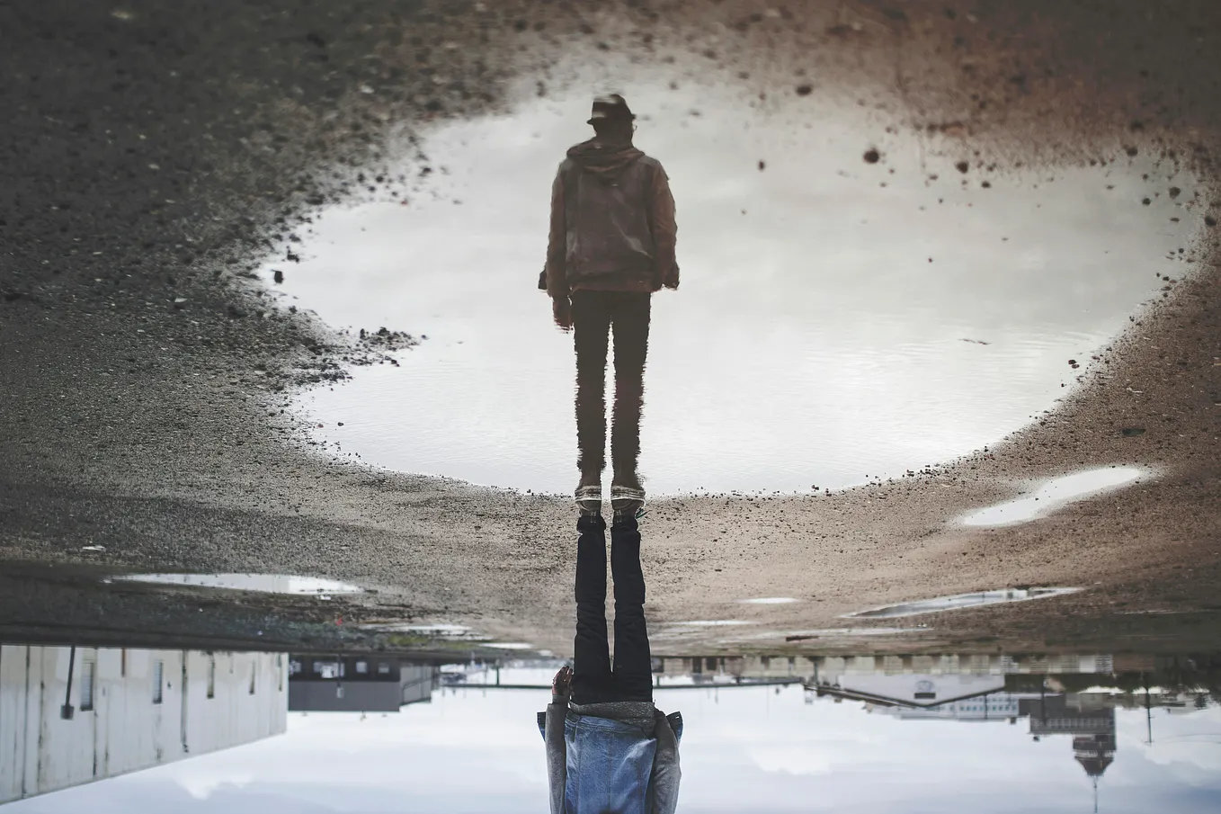 Quantum Mind: The Surprising Parallels Between Particle Physics and ...