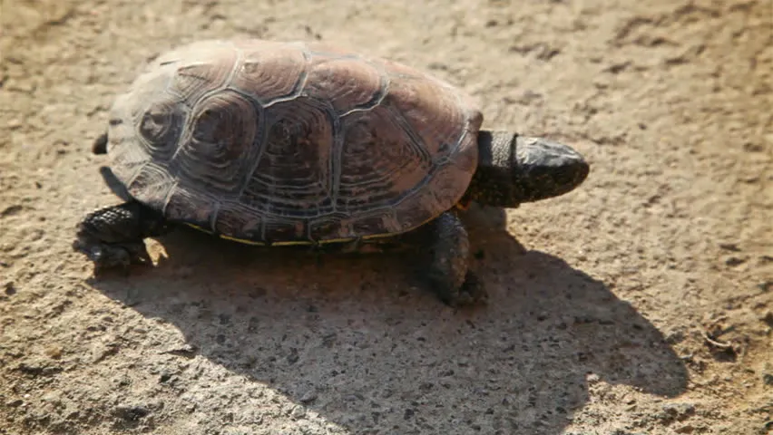 6 Useful Arel Techniques for Composing Queries | by Driven by Code | Driven by Code | Medium