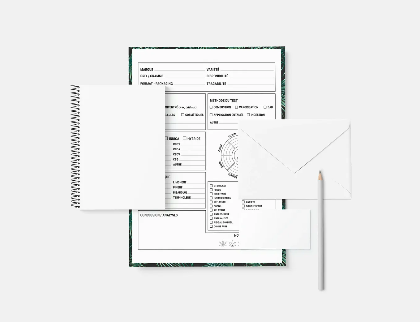 React and NestJS: Building a Full-Stack Application | by Anubhav singh ...