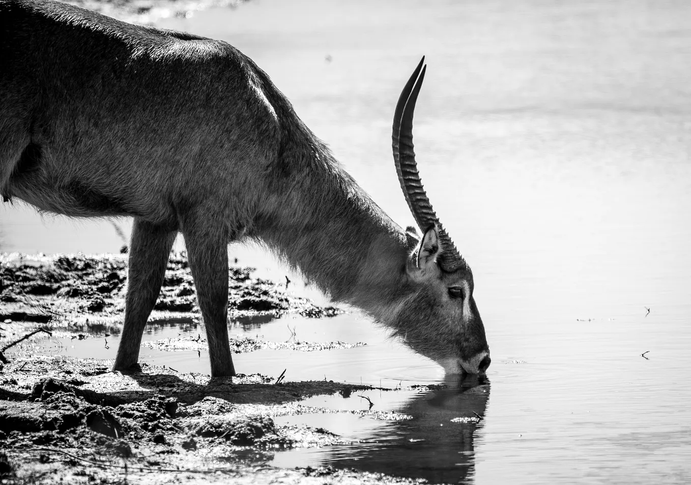 Writing Tests In Python With Pytest A Step By Step Tutorial By 2290