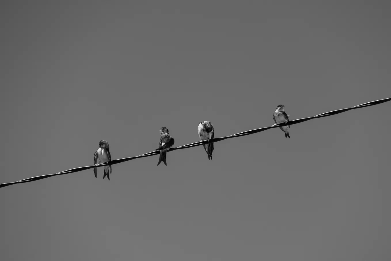 The Evolution of Image Generative AI — From Rule-Based Art to Modern ...