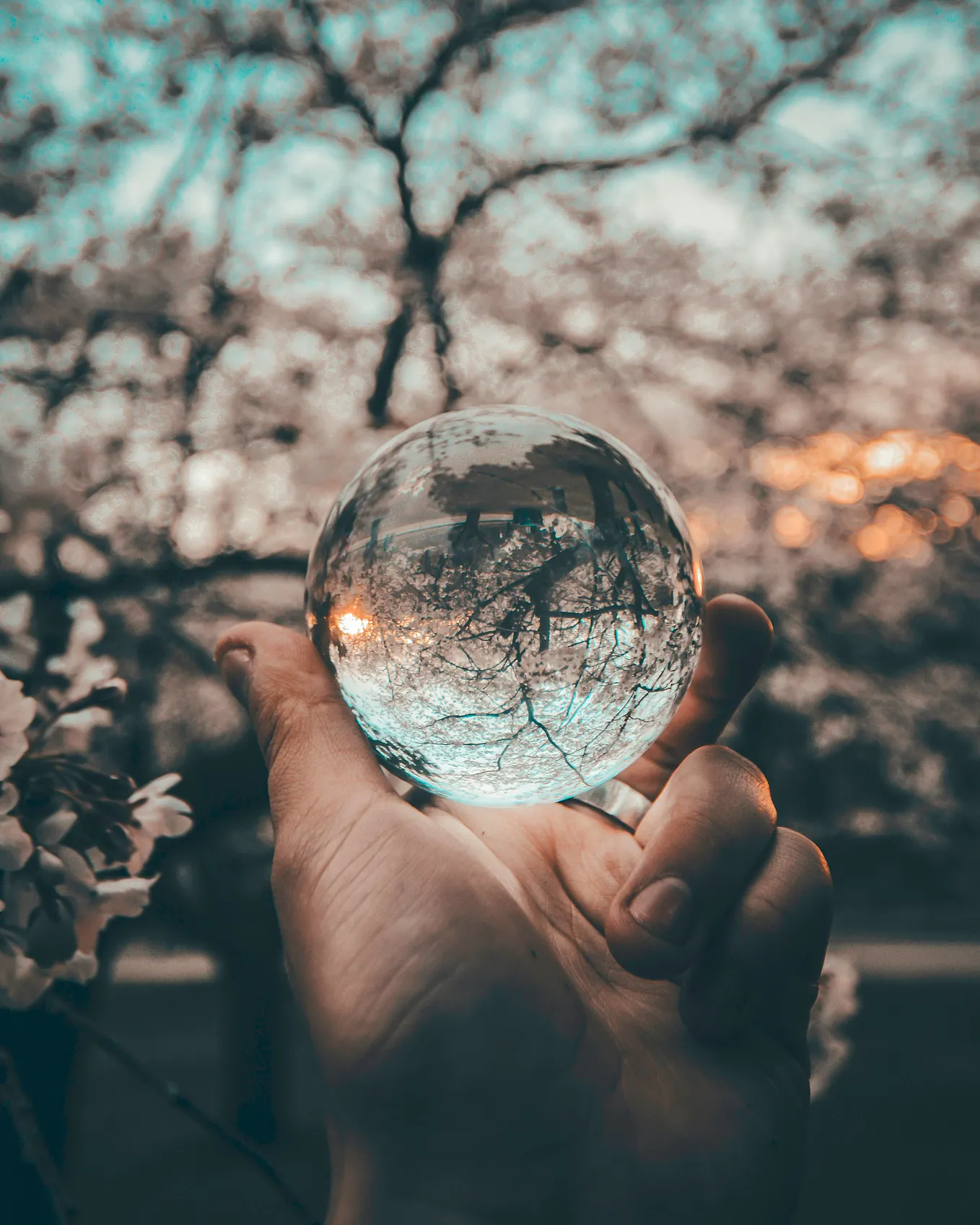 Symptoms of Spiritual Awakening: What No One Tells You | by Nicole ...