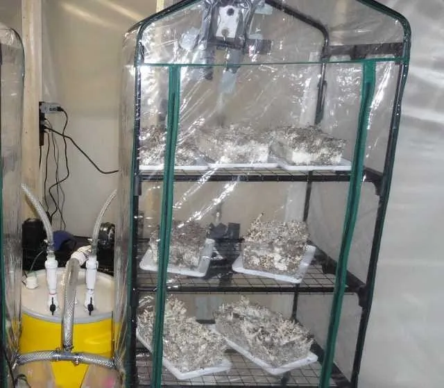 If Celery Bores You, Here are Some Alternative Task Runners to Place Your Bet On | by S M ...