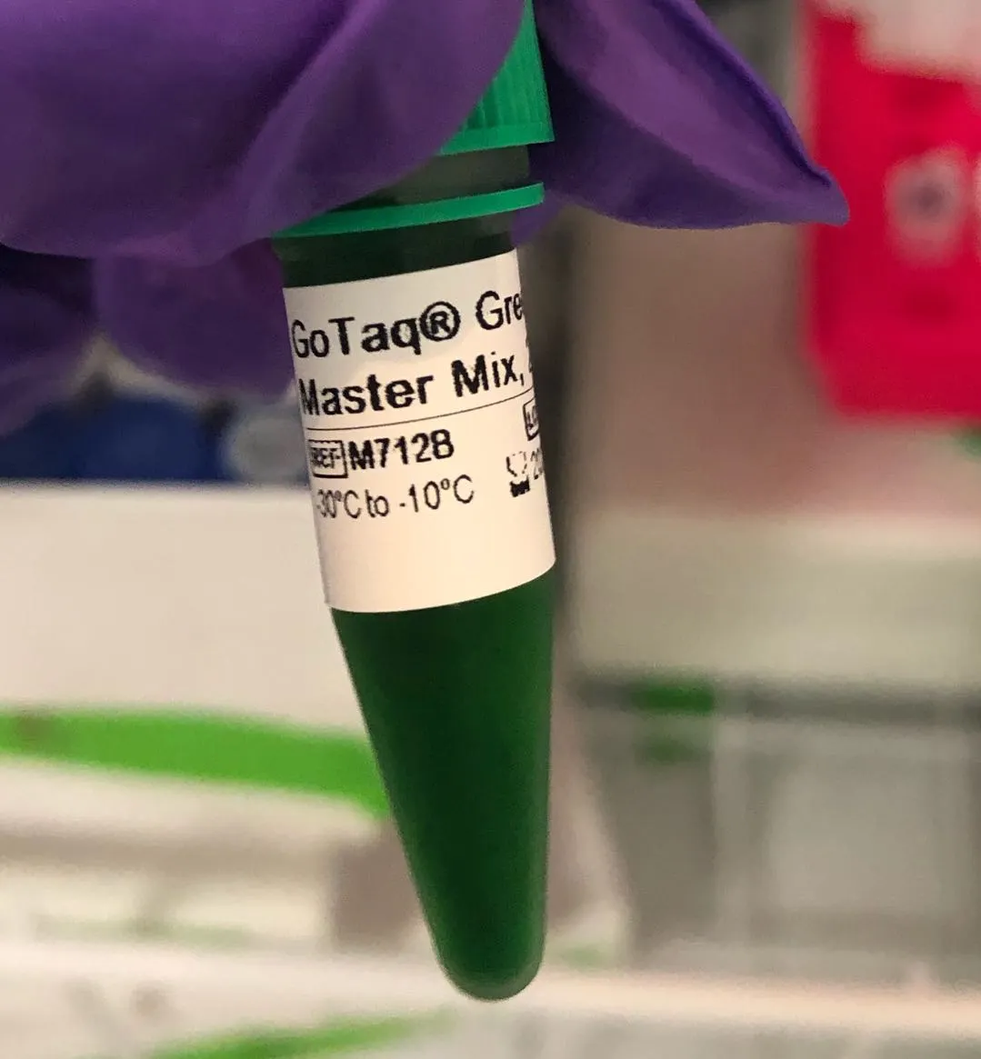 A Definitive, Practical Guide to Designing Primers for PCR & qPCR. | by ...