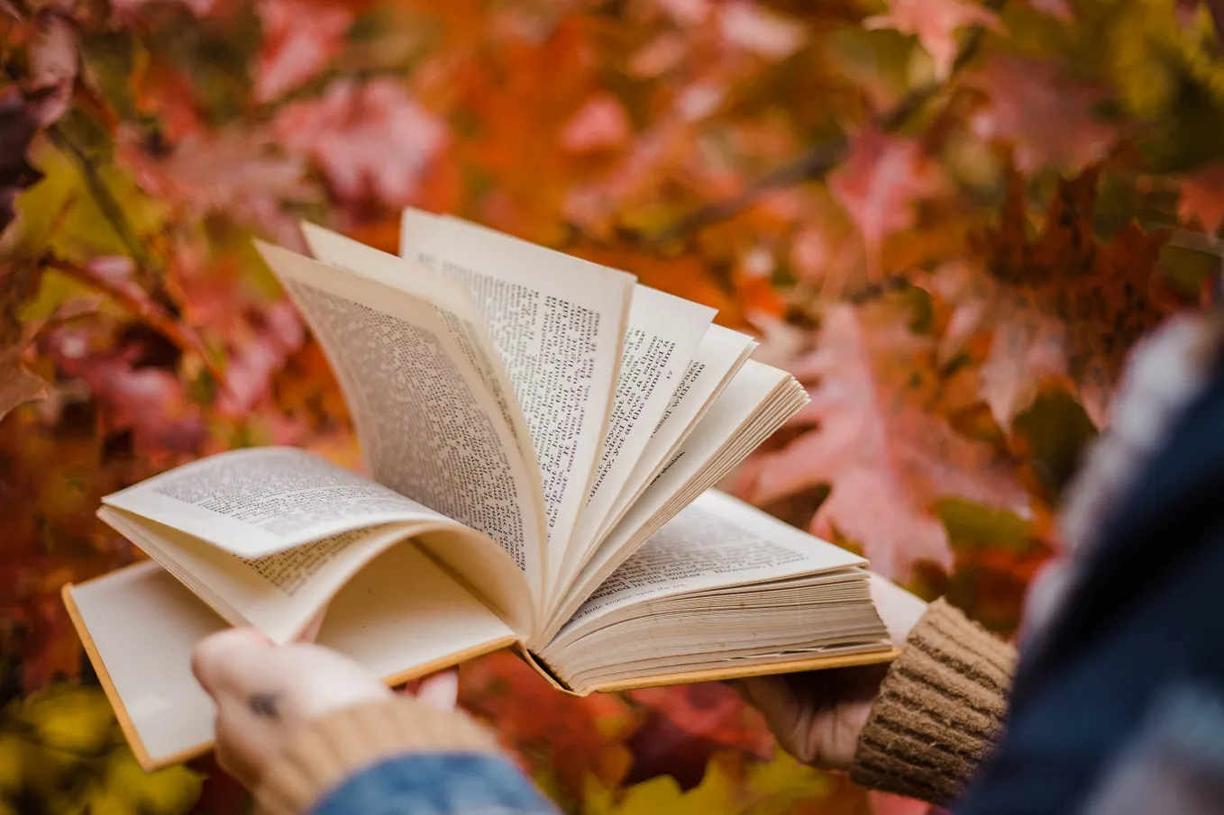 The 7 Most Important Scenes in a Swoon-Worthy Romance Novel | by Beth ...