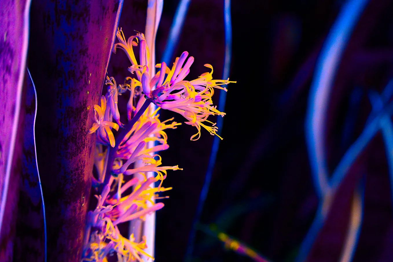 Assets or Resource Raw folder of Android? | by Elye - A Dev By Grace | Mobile App Development ...