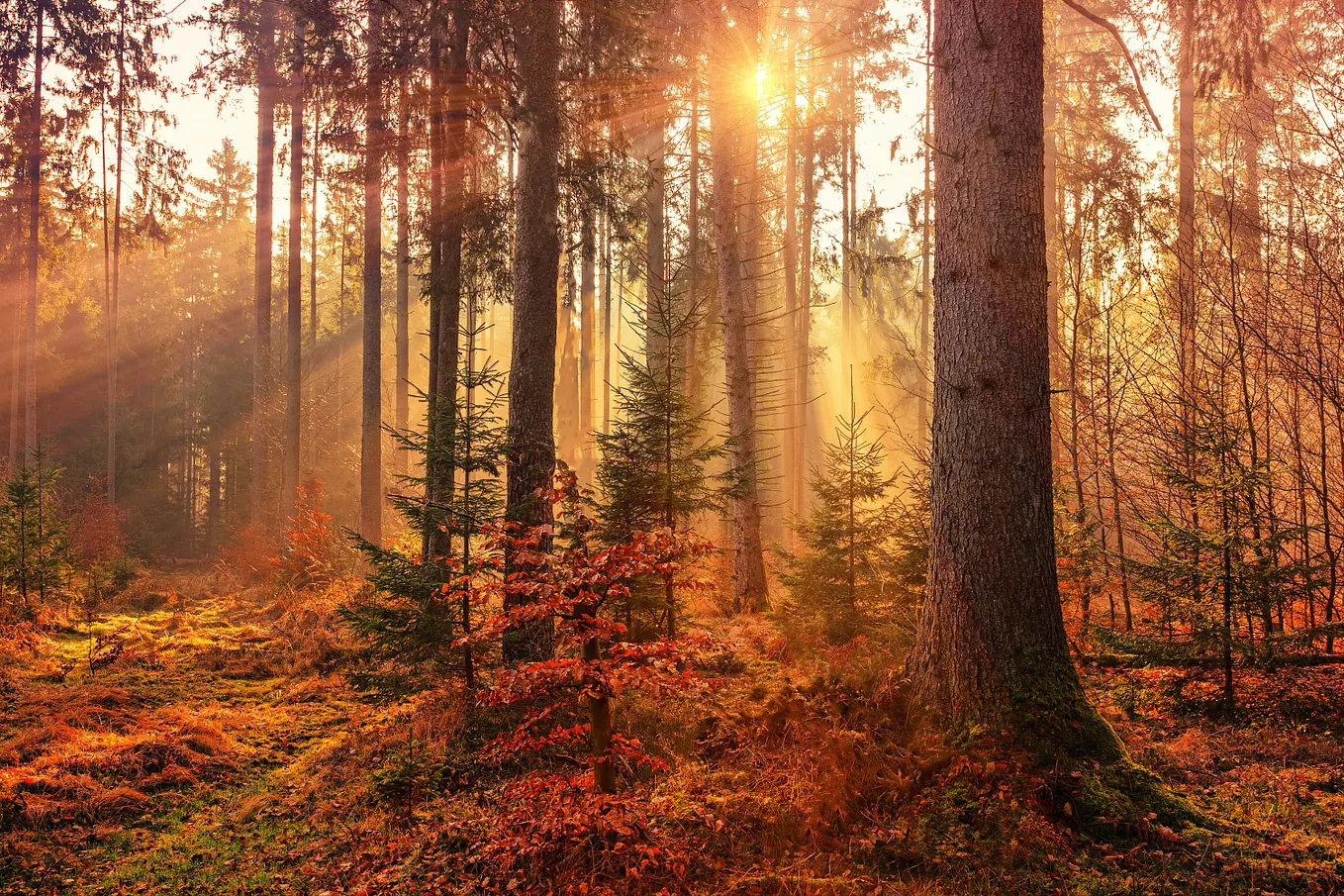 7 Cold Quotes That Sent Shivers Down My Spine | by Tom Addison | Change ...