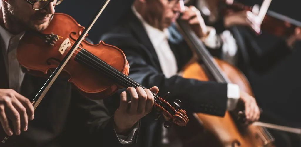Low Pitched Instruments: The Giants of the Musical World | Classical ...