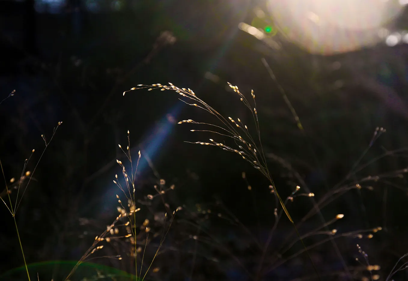 Pseudo Elements Adding Content Before Or After Elements With Before And After By