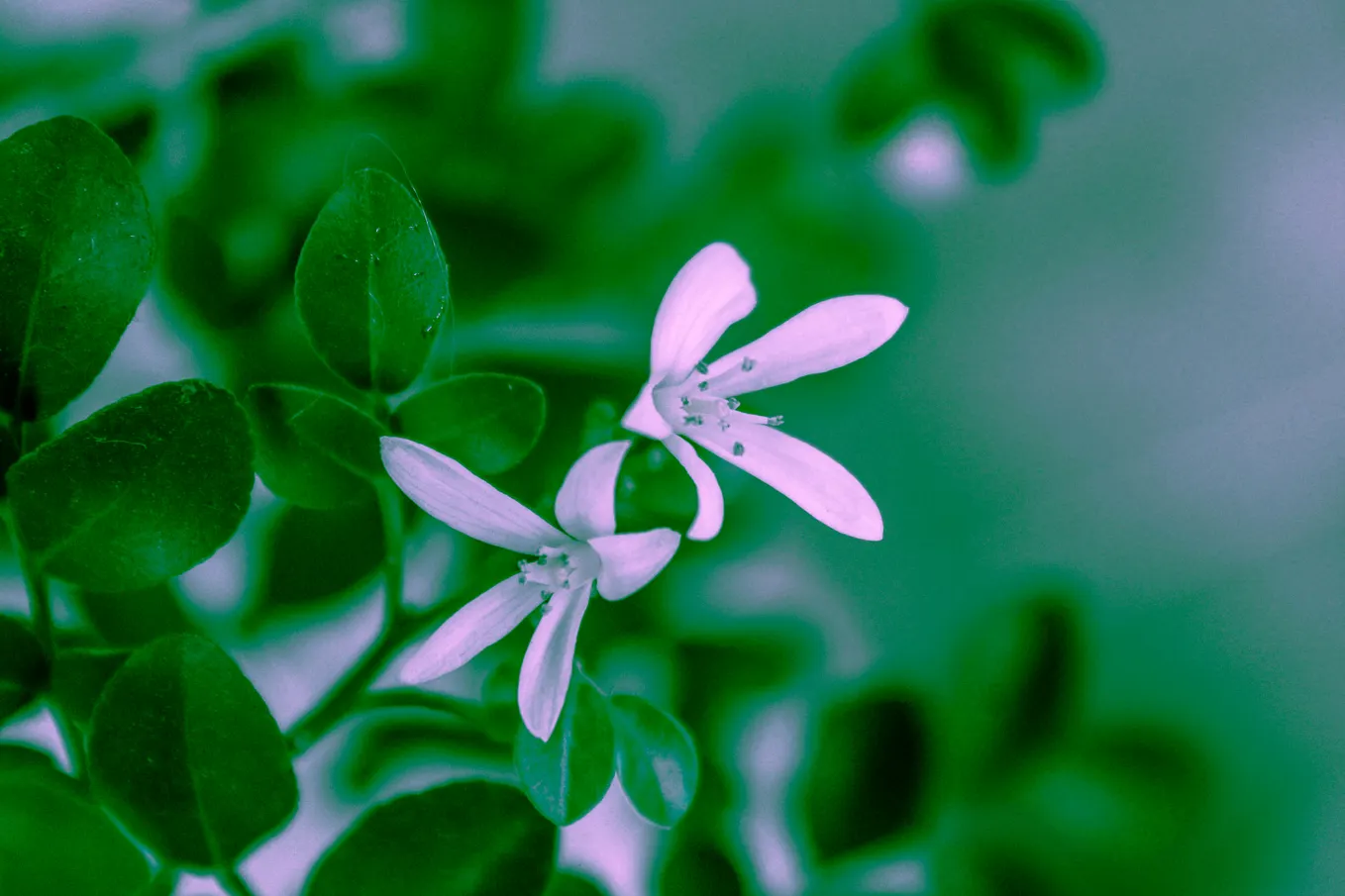 AI Models & Ethical Data: Building Trust in Machine Learning | by Shaip | Medium