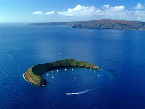 Maui’s Molokini & Turtle Arches Snorkel Trip: An Honest Review So, you ...