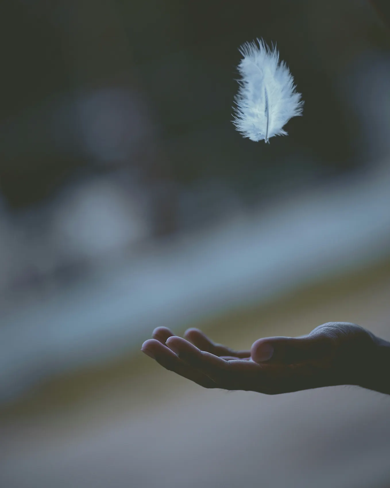 You cannot bloom in the soil that keeps poisoning you | by Ayesha Noor ...