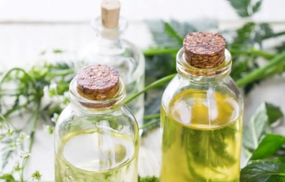 How To Ignore Duplicate Rows In Insert Statements In Mariadb Mysql By Johni Douglas Marangon