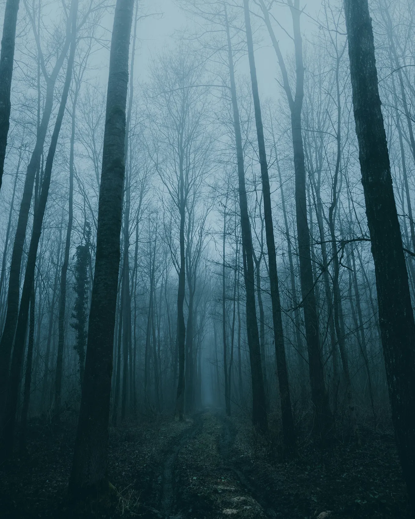 The tincture of oblivion. “What matters creative endless toil… | by ...