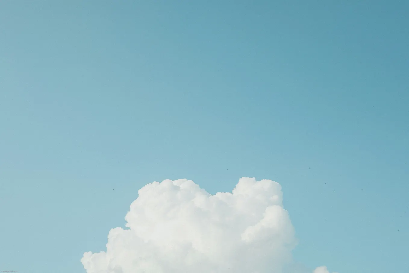 Django 6.0 Alpha Released: Background Tasks, CSP, and More | by Aashish Kumar | The Pythonworld ...