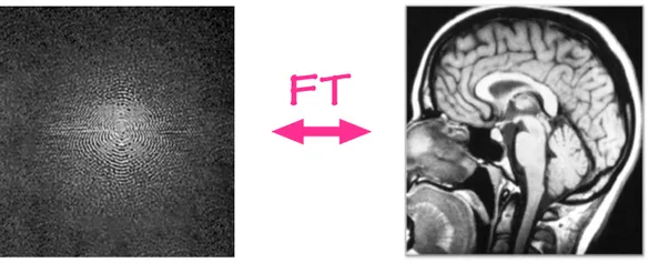 Get Enum Description using property in C# , .Net core | by Arian Rahman | Medium