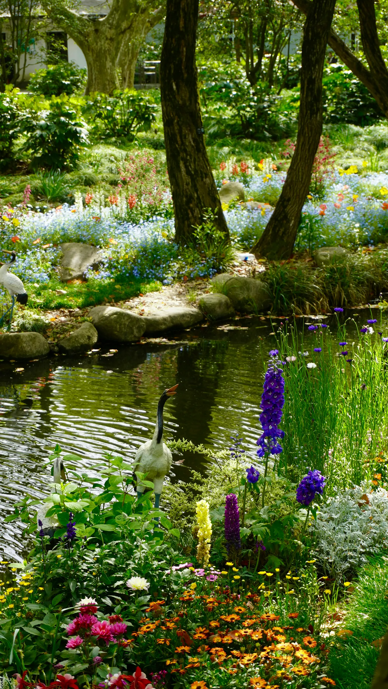 How Many Steps Should I Take Each Day to Experience Optimal Health Benefits? | by JoAnn Ryan ...