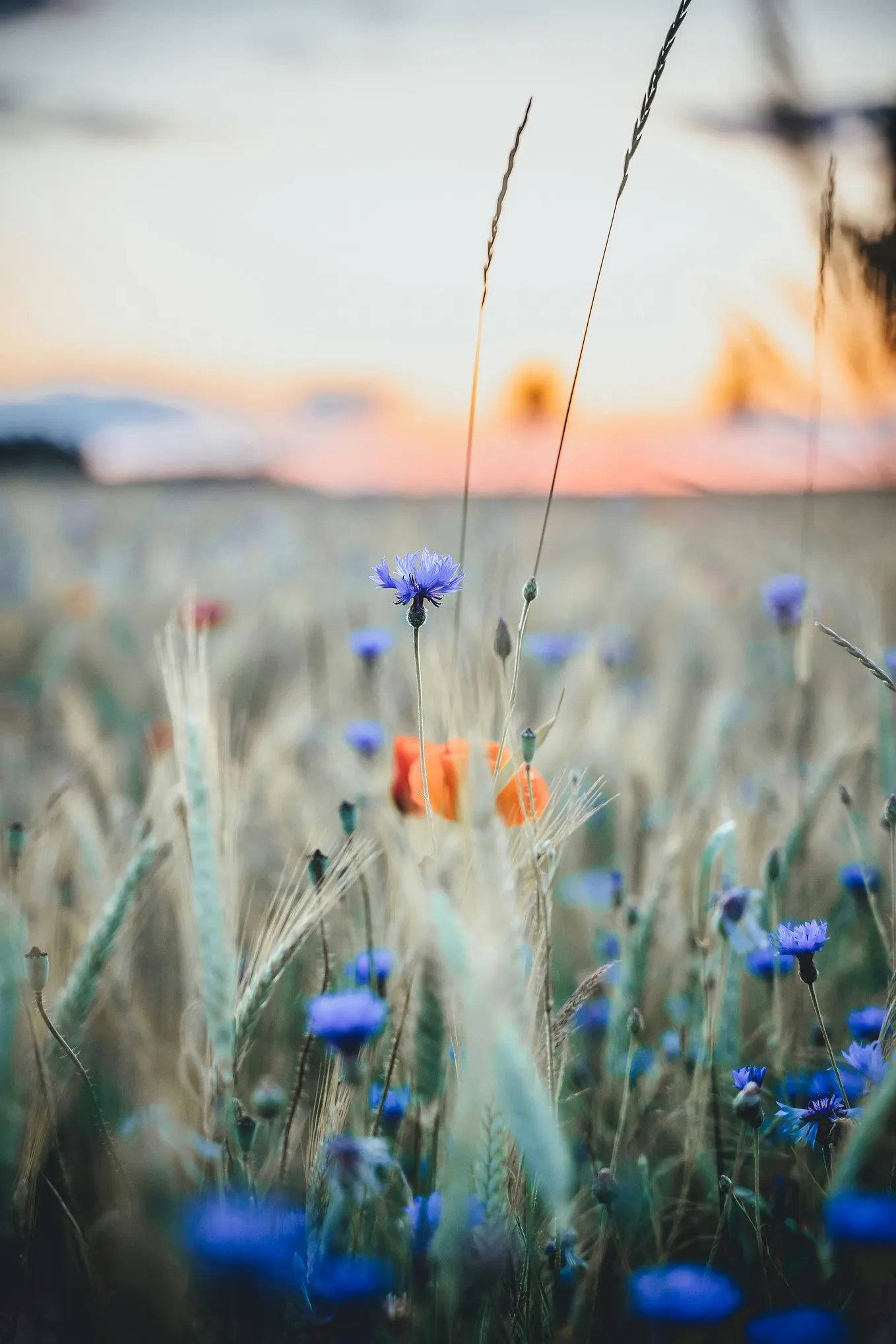 LESSONS FROM A BUS RIDE. Life is like a bus ride, and I’ll tell… | by ...