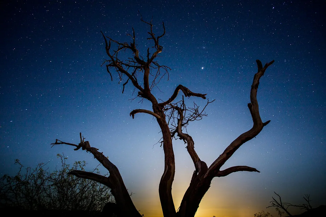 No, [] and list() Are Not the Same in Python — Here’s Why It Matters ...