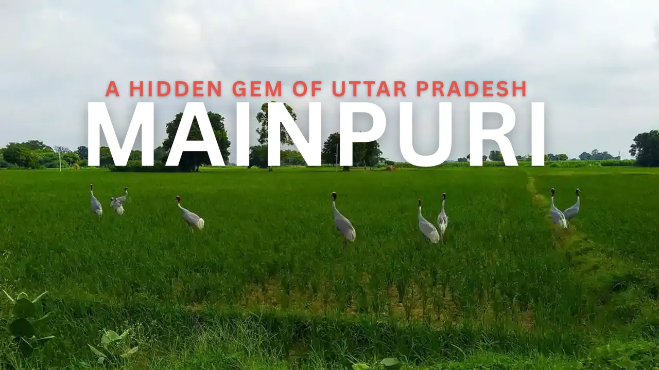 Discover Amroha: A Hidden Gem of Uttar Pradesh Tourism(325/788) | by ...
