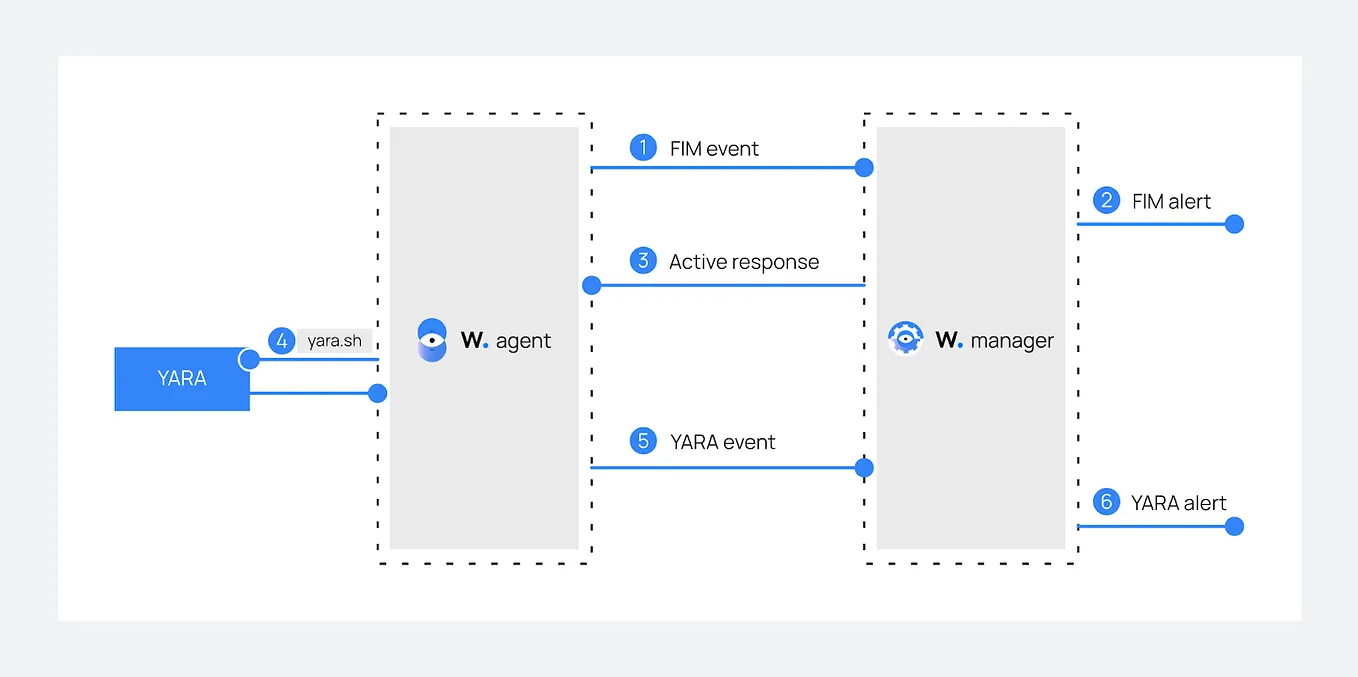 Network Packet Analysis — LetsDefend Course | Medium