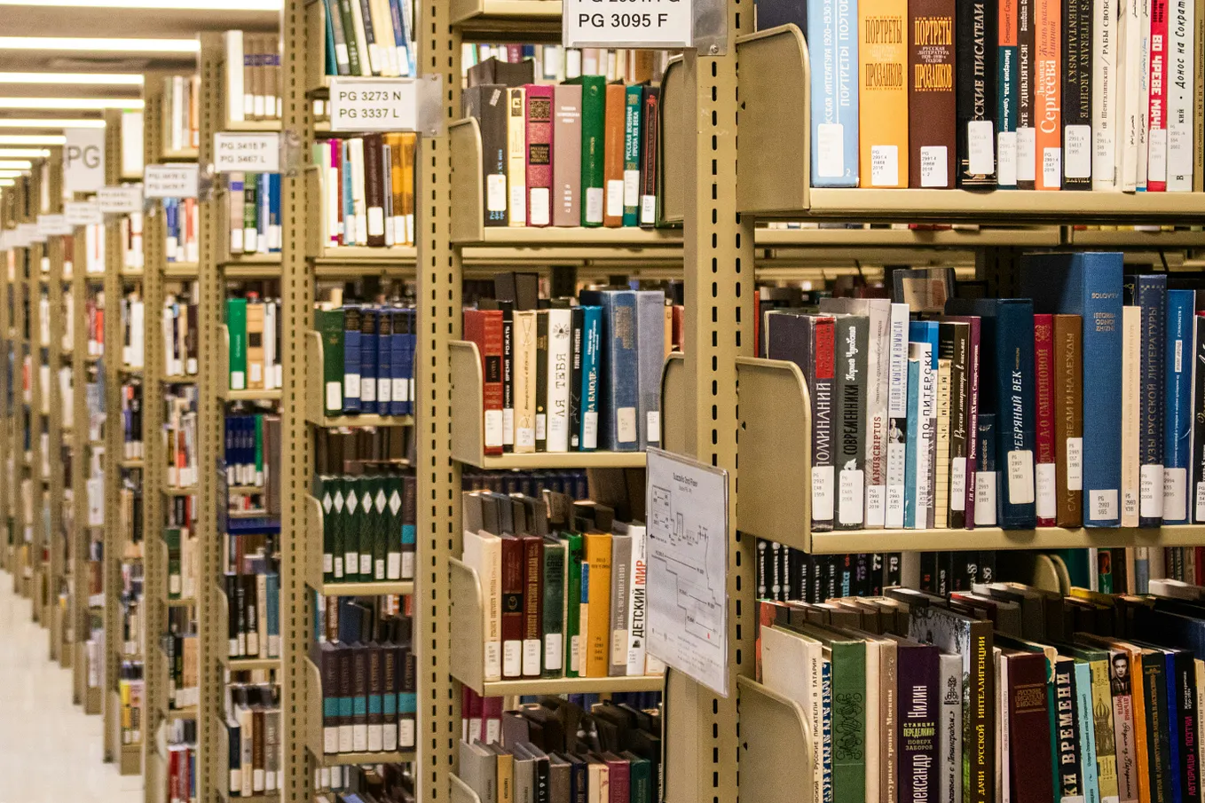 Effortless Image Editing: Remove Backgrounds in Python with rembg | The ...