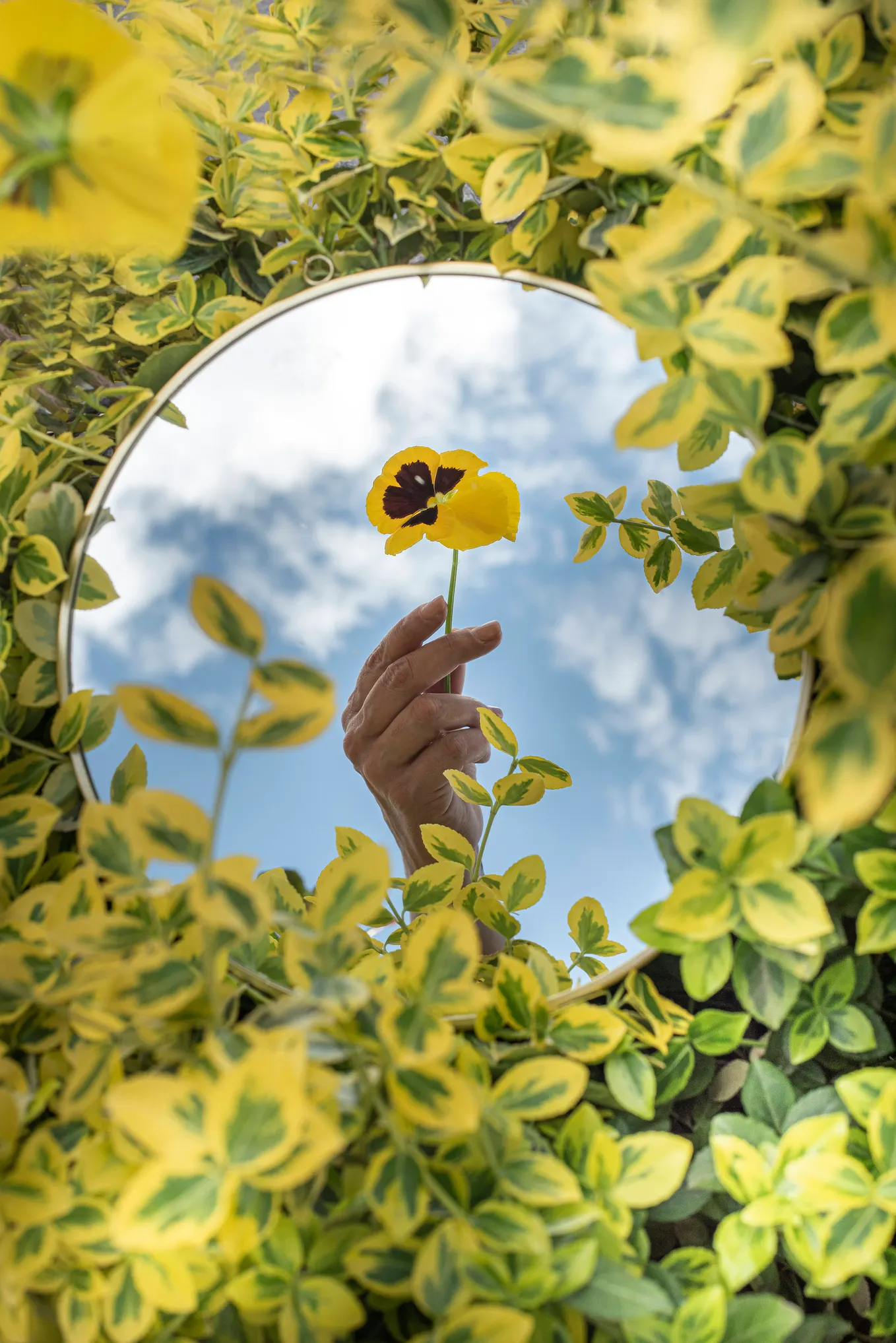 The Difference Between An Oxymoron and Juxtaposition | by Ruqayyah Ali ...