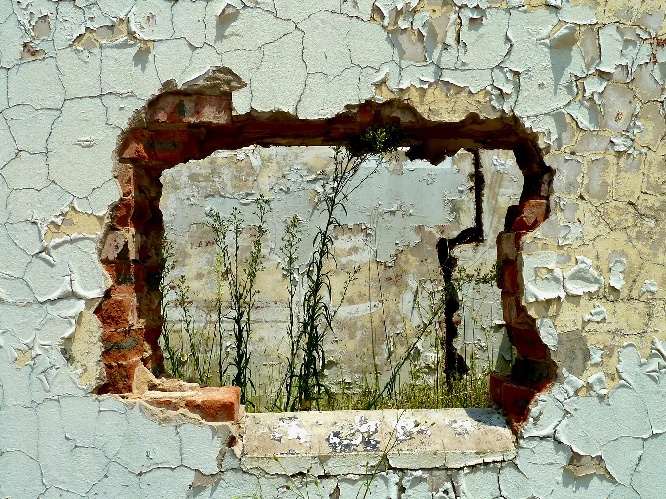 The Smartest People I Know Are Obsessed With a Skill Many Were Told Is ...