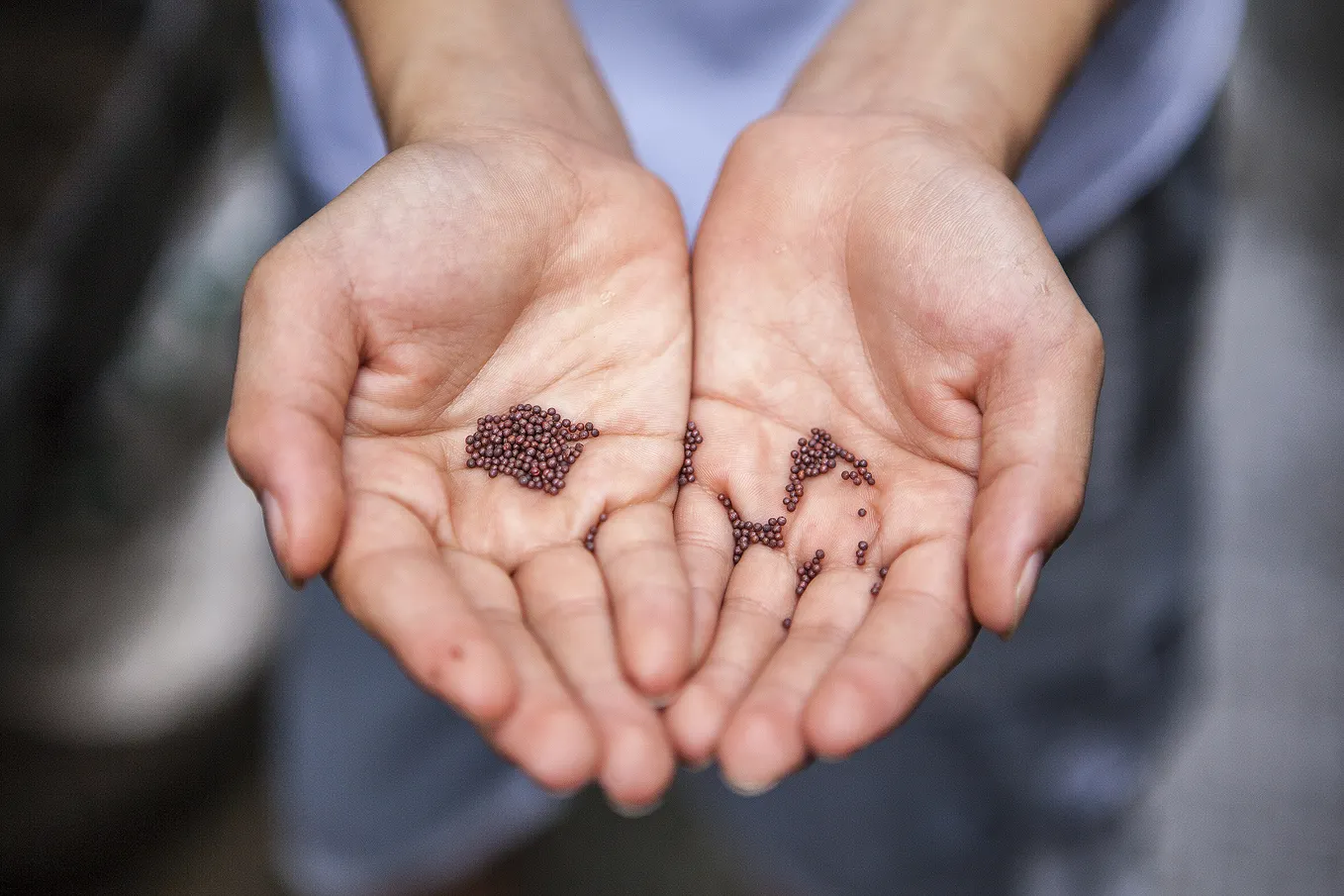 Scattering Seed: Part 1 — The Footpath | by Caitlin Gannon | Medium