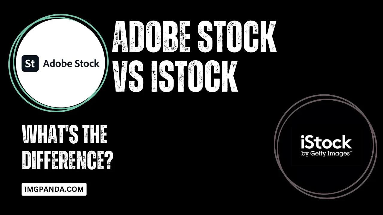 Can You Use Images from iStock? | by IMGPANDA | Medium