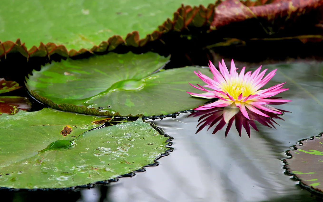10 Inspiring Ways to Get the Best Out of Life | by Bridget Webber ...
