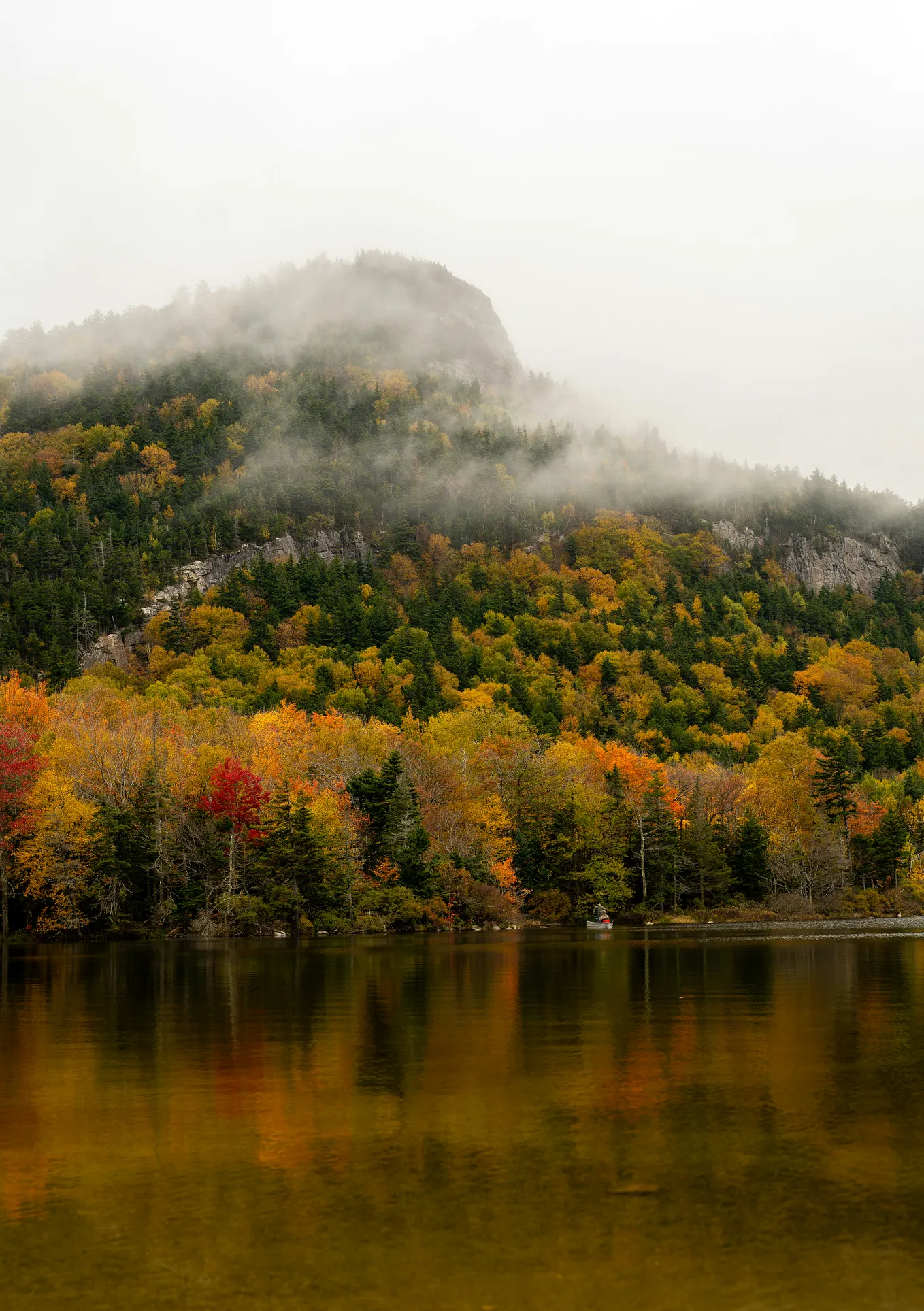 React Full-Stack Framework‘e Dönüşecek mi -2 (RSC) | by Onur Dayıbaşı | Frontend Development ...