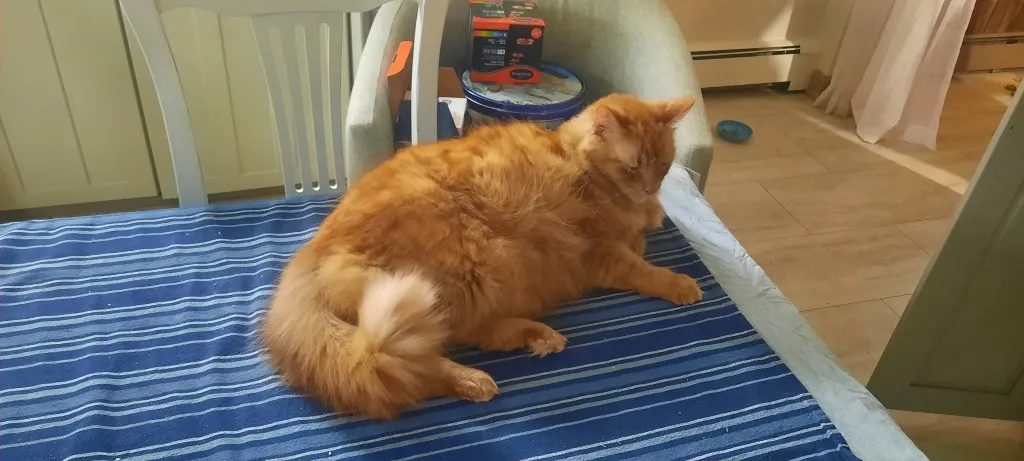 Learn C#: Breakpoints Beginner and Advanced | Medium