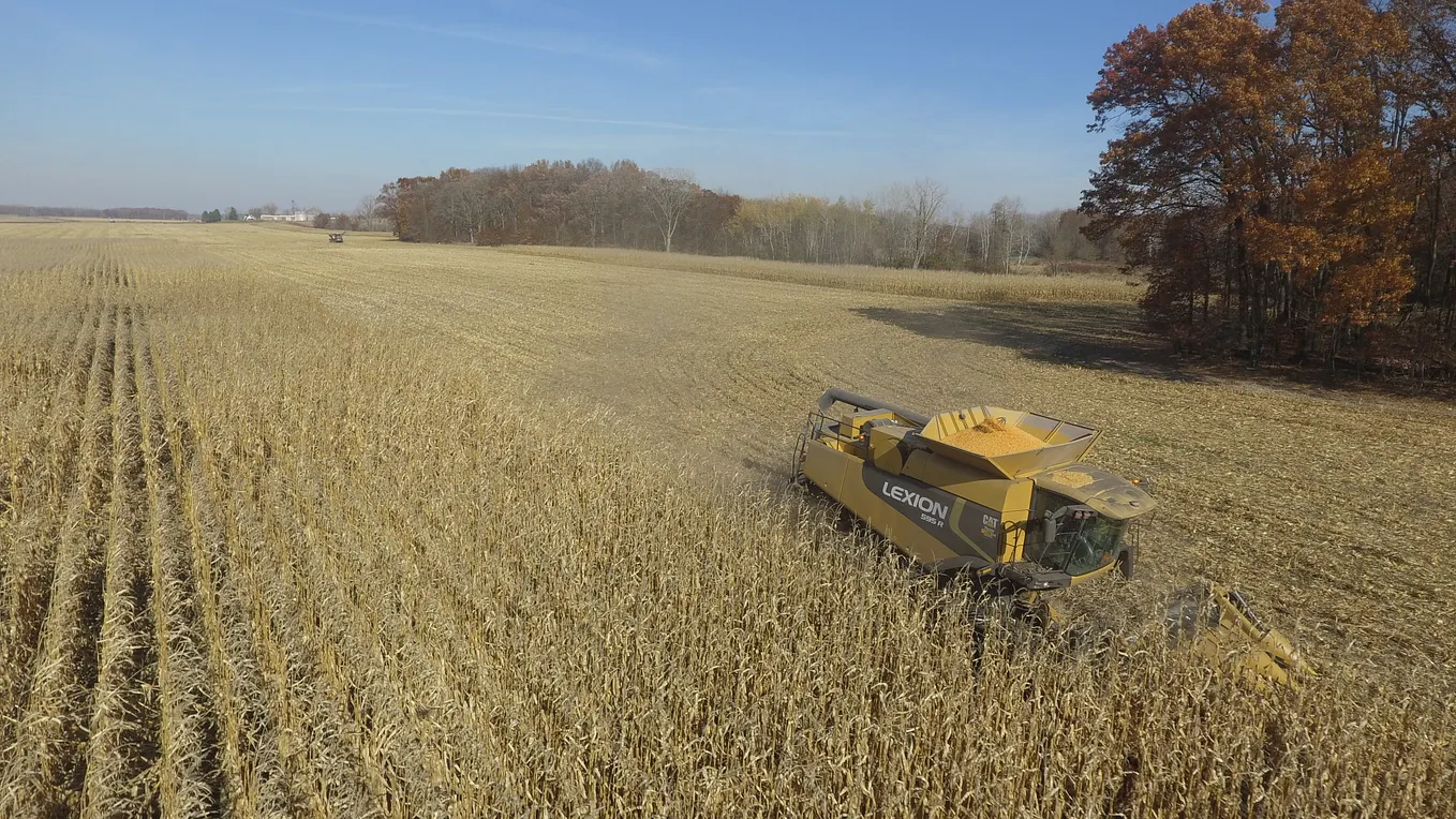 Does The Map Function Mutate An Array In Javascript By Aakash Thakur Javascript In Plain