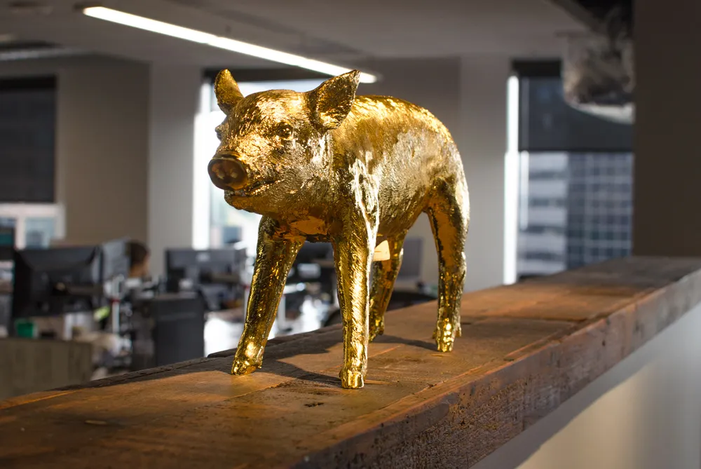 PitchBook + Morningstar: a look back, with exciting times ahead | by ...