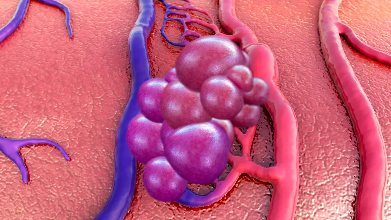 Understanding Tolerance: Mechanisms, Types, and Its Role in Drug ...