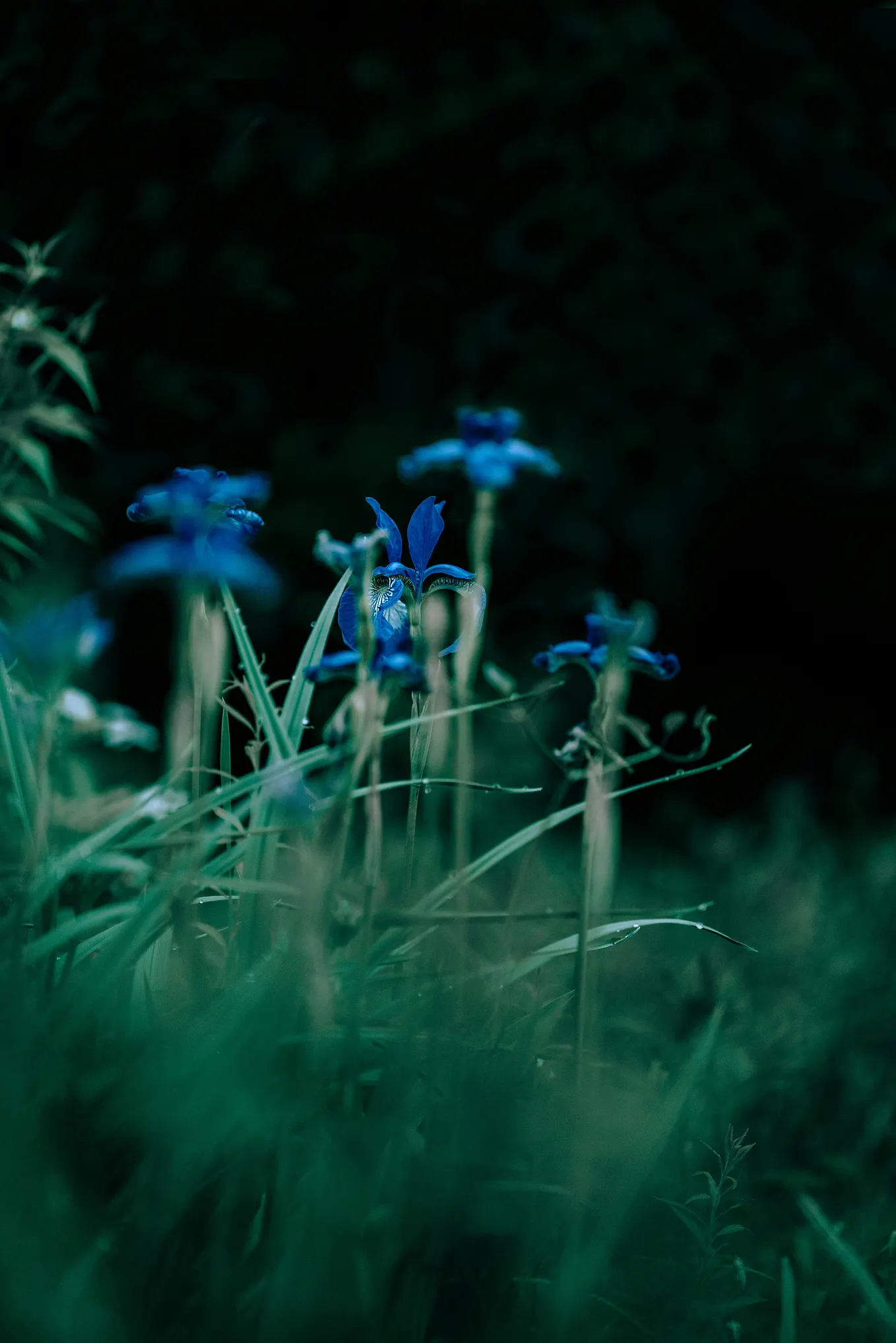 Heal, They Said. When no one warns you that healing… | by PXP | Know Thyself, Heal Thyself | Nov ...