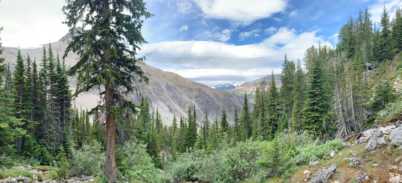 Why Everyone Is Becoming a Digital Nomad | by Divya🍁 | Nov, 2025 | Medium