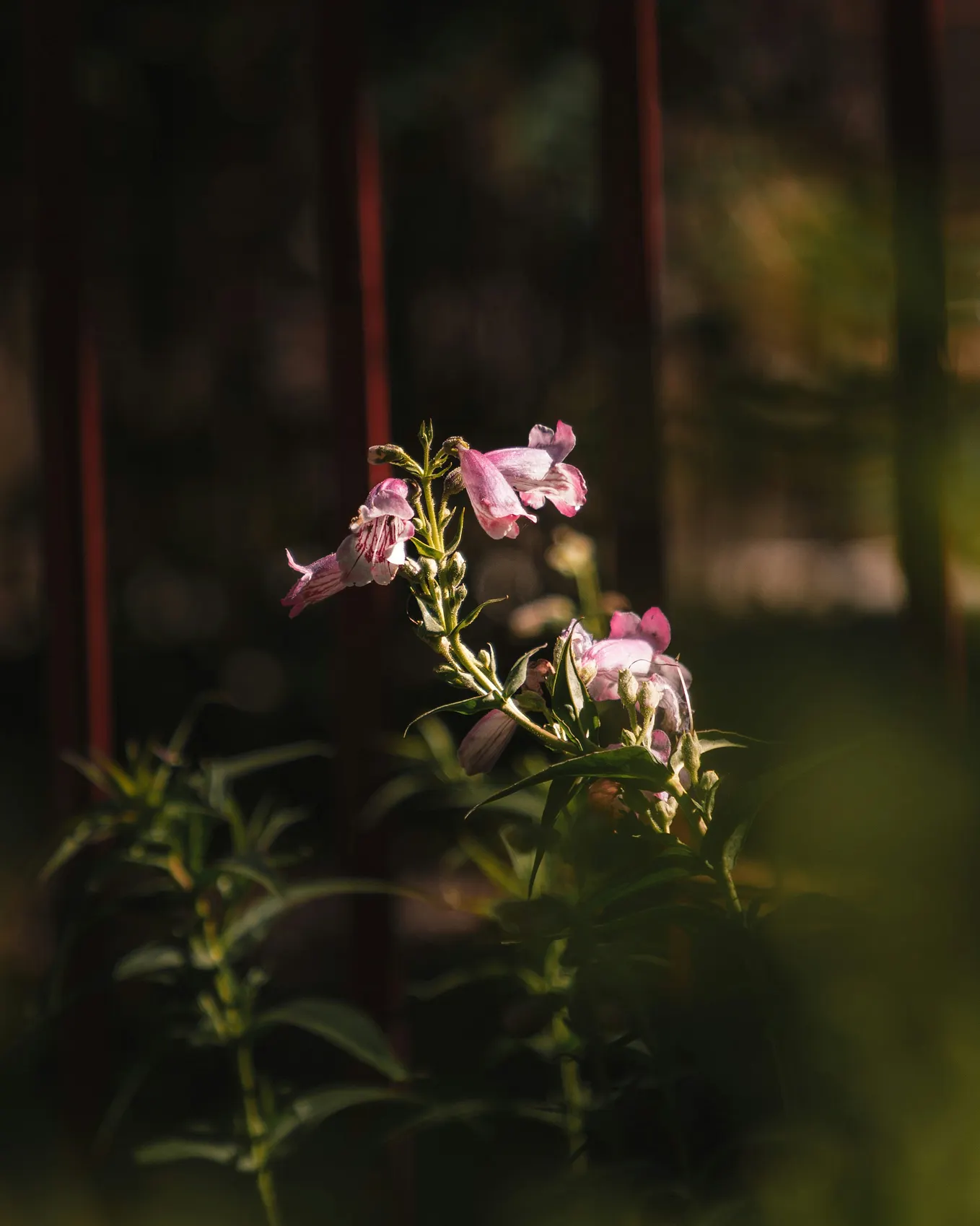 May destiny know what you don’t:- | by Sidra Faisal Sozer | Beyond ...