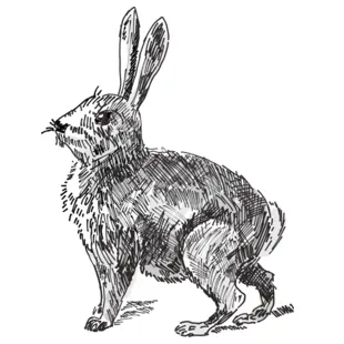 How to delete System32(Windows). By Shahriz | by Shahriz Marks | Medium