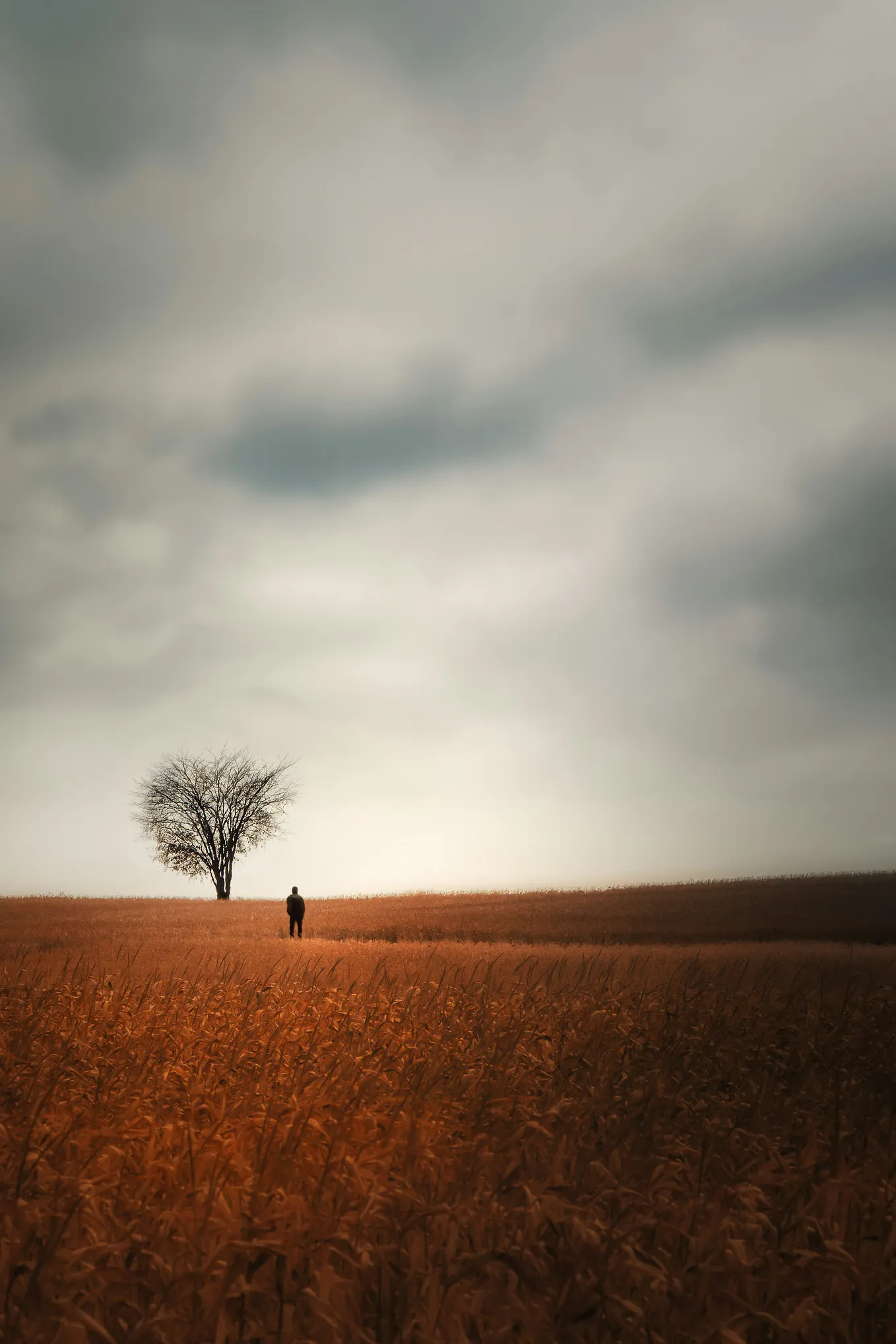The Philosophy of Silence: Exploring the Power of What Is Left Unsaid ...