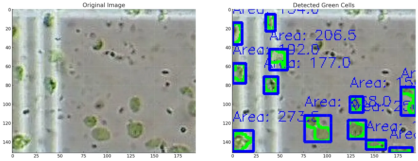 Detecting Green Cells in Grid Squares: A Step-by-Step Guide with OpenCV ...