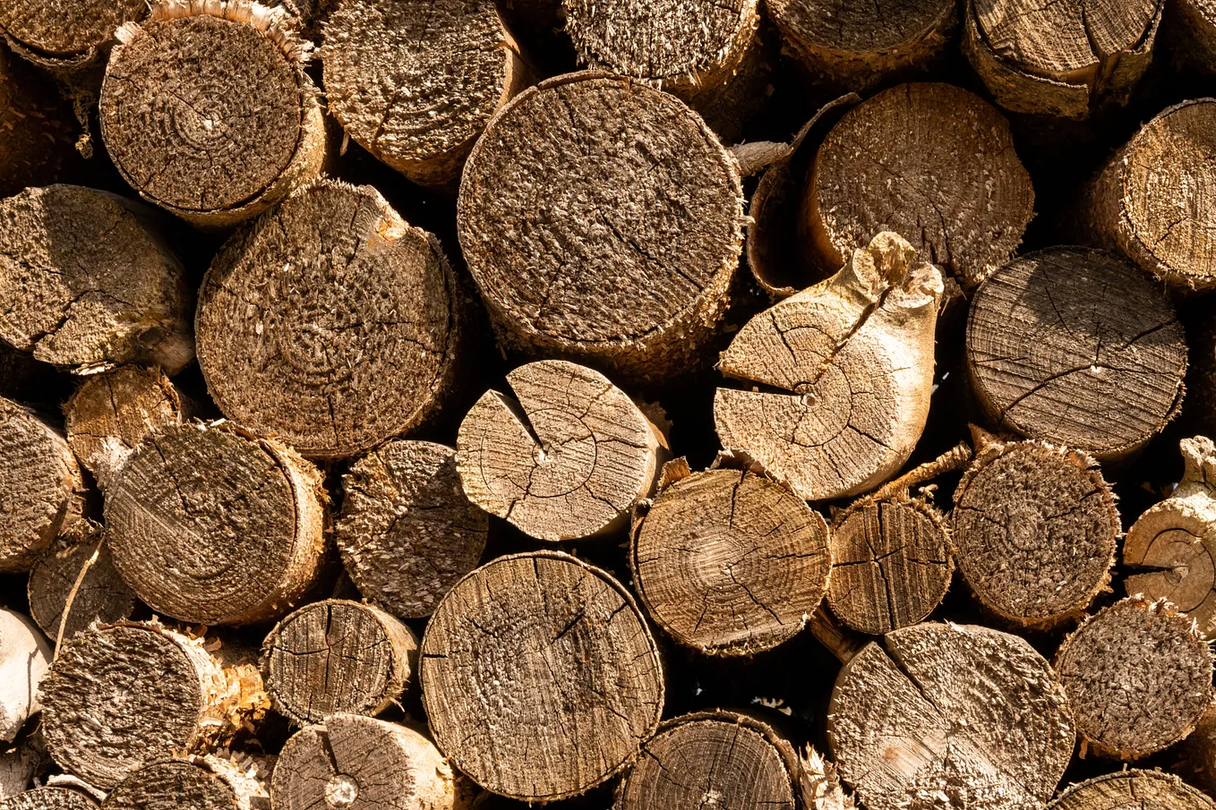 Using .env in React: Best Practices and Efficient Usage | by Shrihari ...