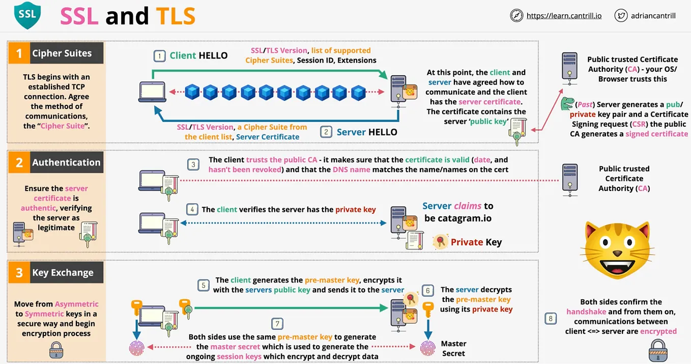 OSI Model: Layer 3 — Address Resolution Protocol (ARP) | by Walid ...
