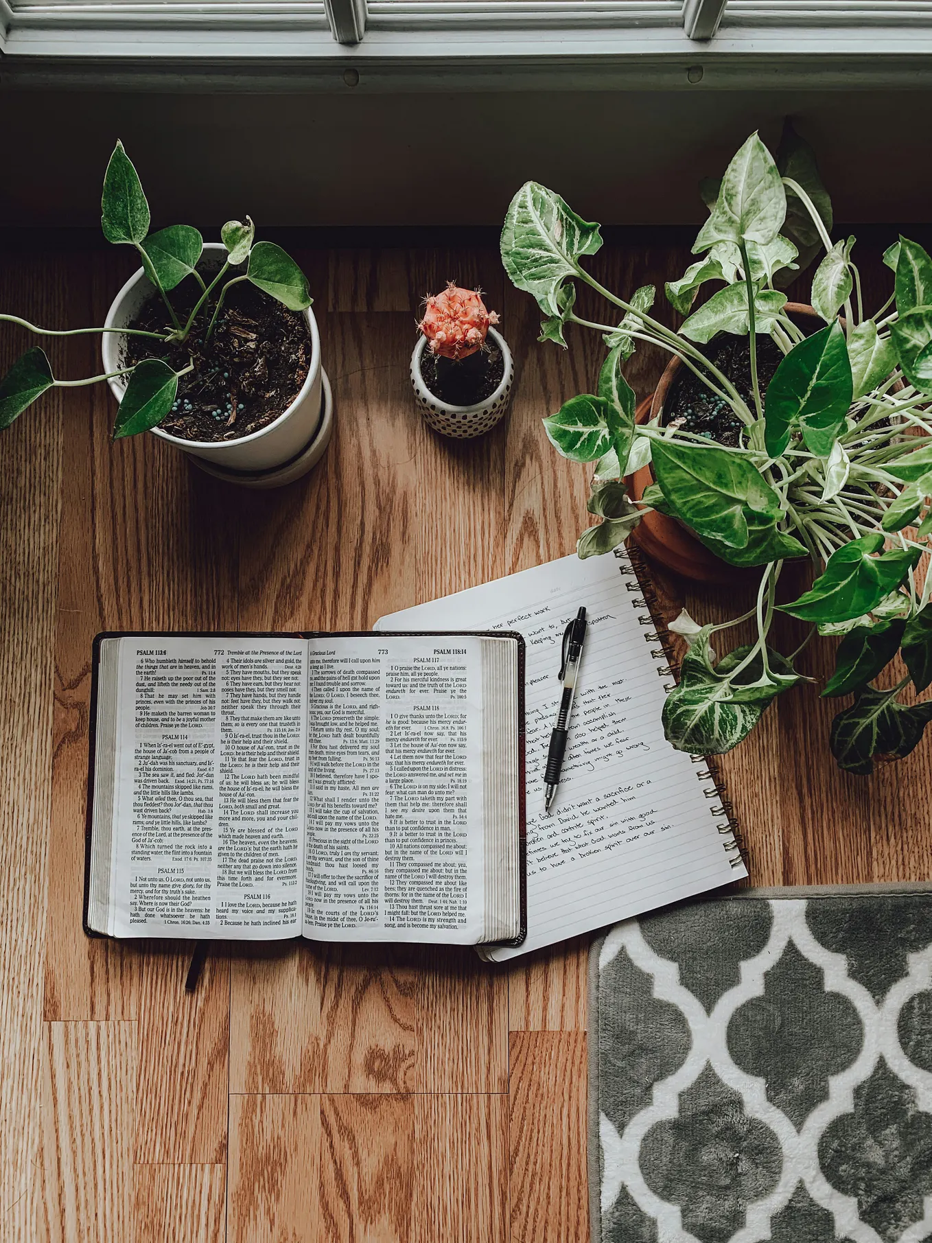 Understanding Truth: Absolute vs. Subjective Perspectives | by Patrick ...