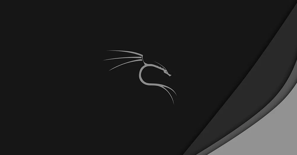 PicoCTF — Flag Hunters. Solution to PicoCTF 2025 Reverse… | by Pi - The ...