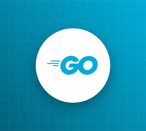 Initiate a Go project. To initiate a Go (Golang) project and… | by Juno ...