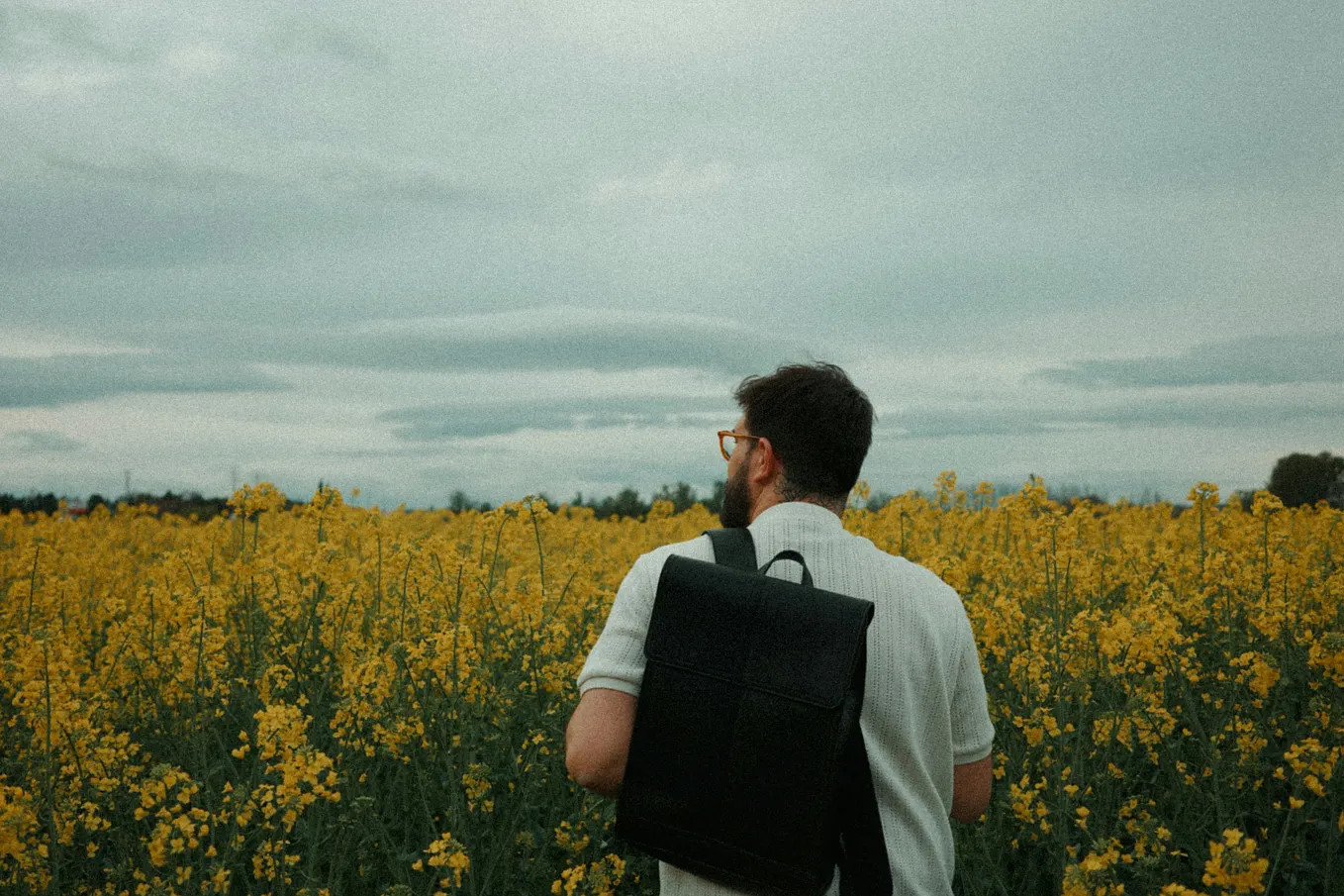 Machine Learning Roadmap 2025 — The 18 Skills You Need By Marina Wyss Gratitude Driven